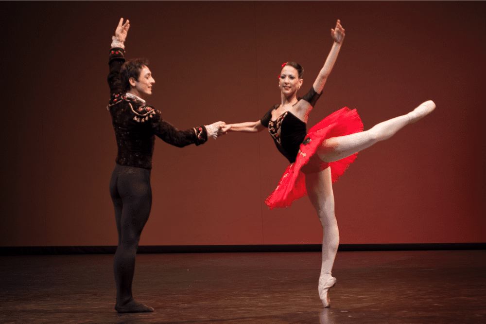 MEDNARODNI GALA BALETNI VEČER (2013)